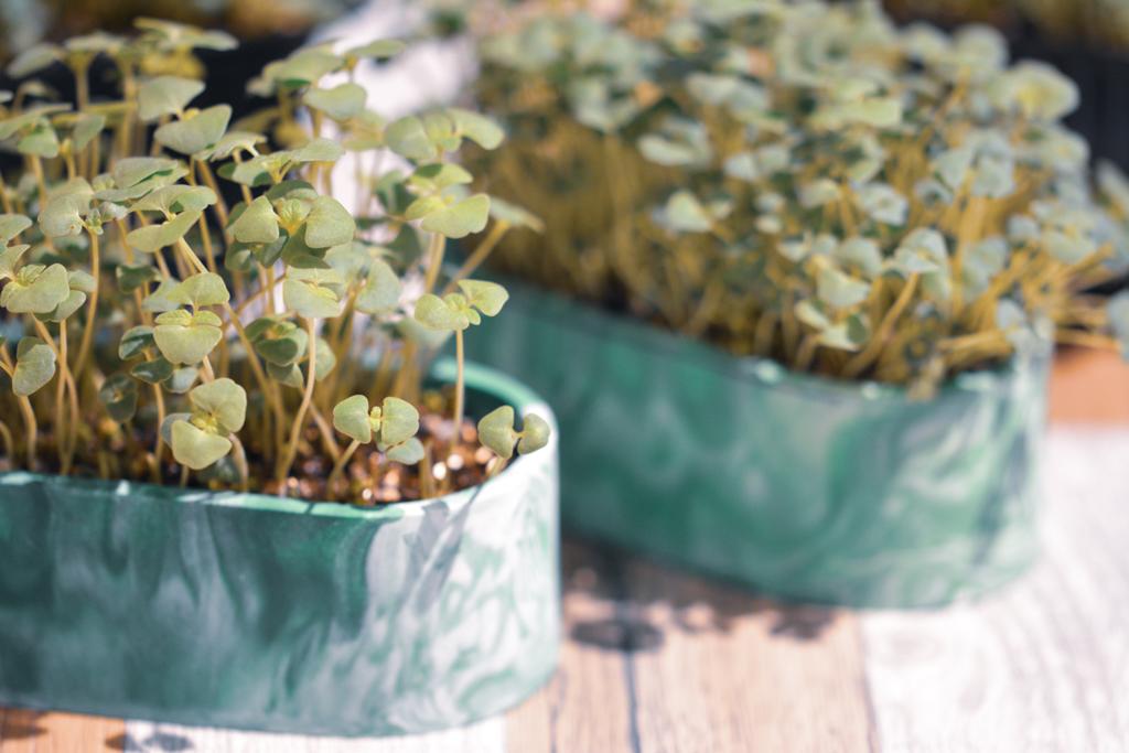 Marble Collection Mini Pot Workshop – Chokmah